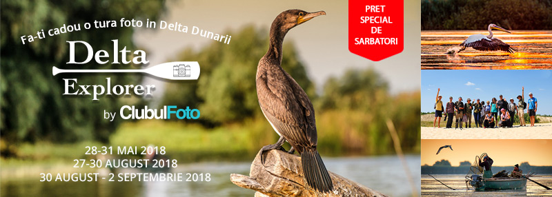 tura-foto-delta-dunarii-2018 - Clubul Foto