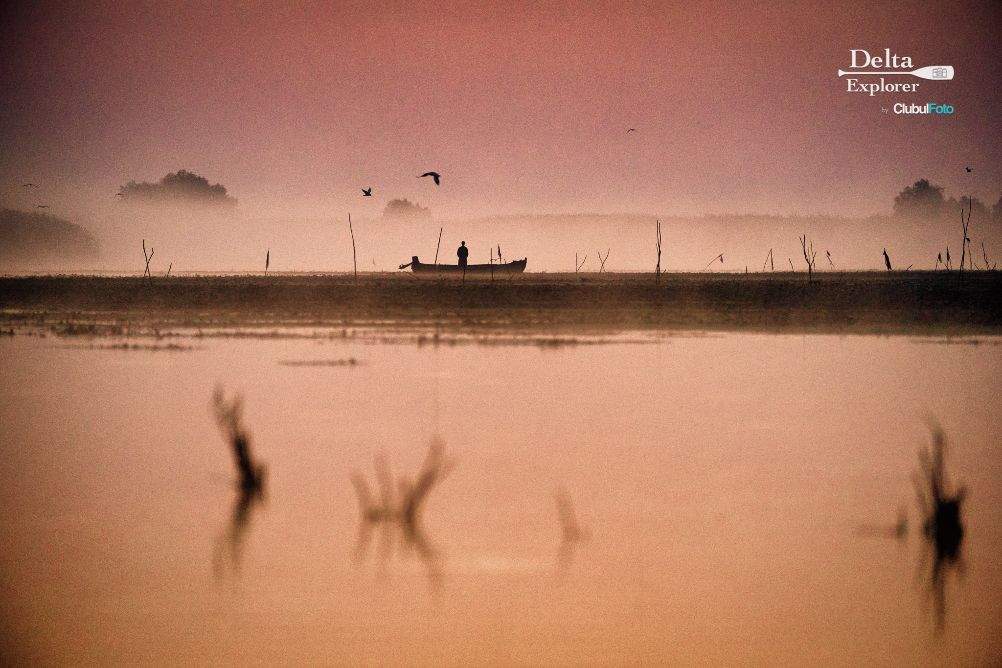 tura-foto-delta-dunarii-5053-Edit - Clubul Foto